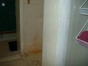 Biosecurity showering